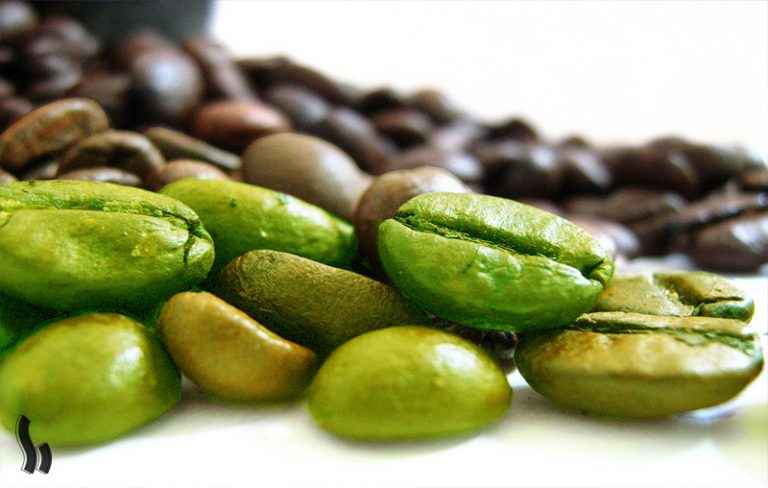 قهوه سبز و فواید آن چیست، طرز تهیه آن به چه شکل است؟ - کافی مافی